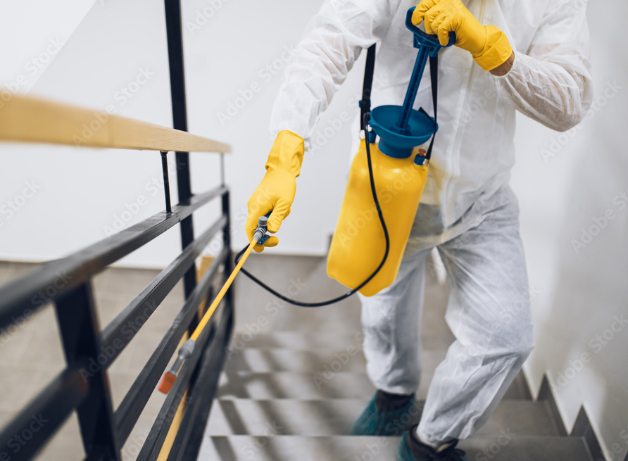 Alpha Arabian UAE - Alpha Arabian Cleaning Services LLC UAE