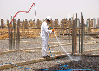 Termite treatment - Termite control services|Alpha Arabian