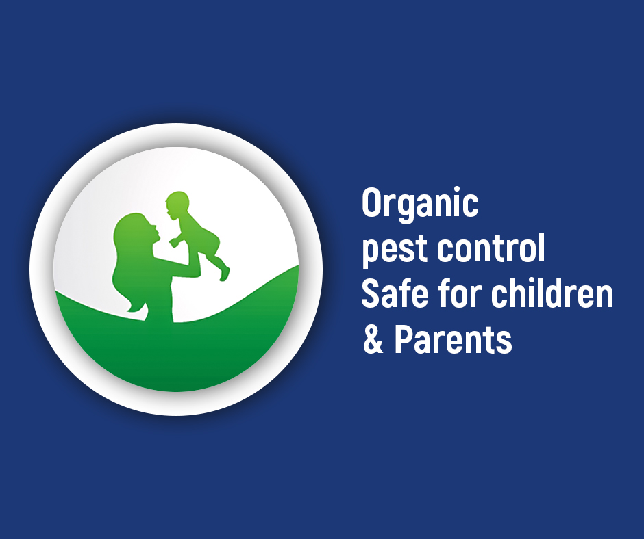 Organic Pest Control Services in Dubai l Alpha Arabian