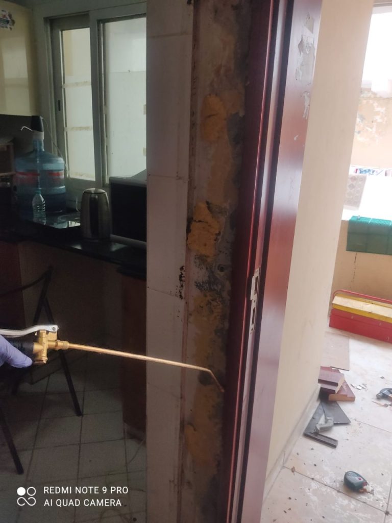 Post-construction Anti-termite Treatment - Alpha Arabian Cleaning ...