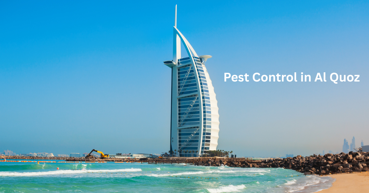 Pest Control in Al Quoz - Alpha Arabian Cleaning Services LLC UAE